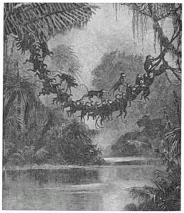 "The Myth of the Monkey Chain" - Futility Closet