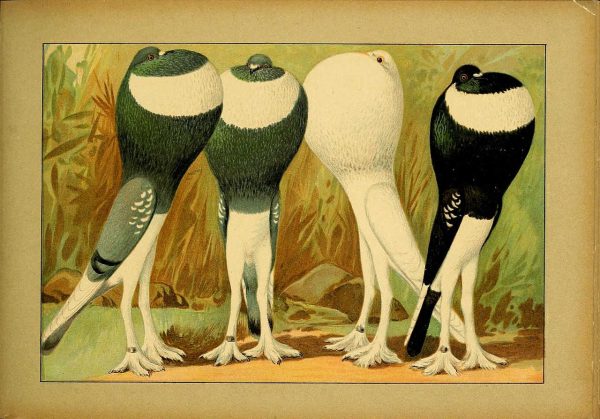 Puffery - Futility Closet