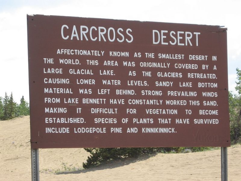 The Carcross Desert - Futility Closet