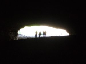 The Case of the Speluncean Explorers - Futility Closet