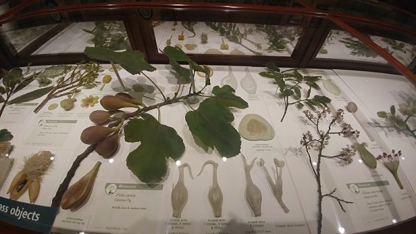 Art Archives - Page 7 of 70 - Futility Closet