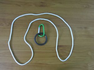 Science & Math Archives - Futility Closet